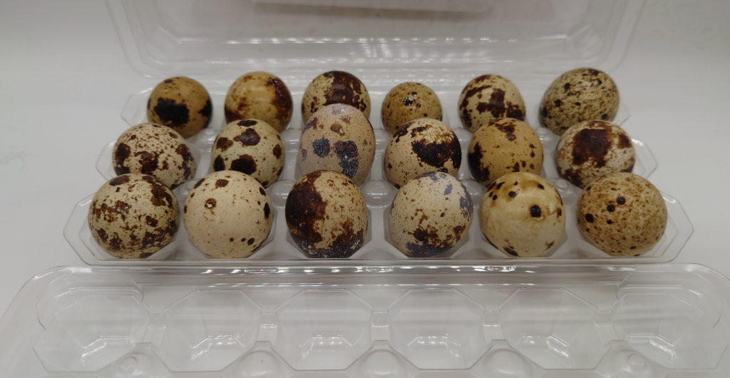 Quail Eggs – Goffle Road Poultry Farm